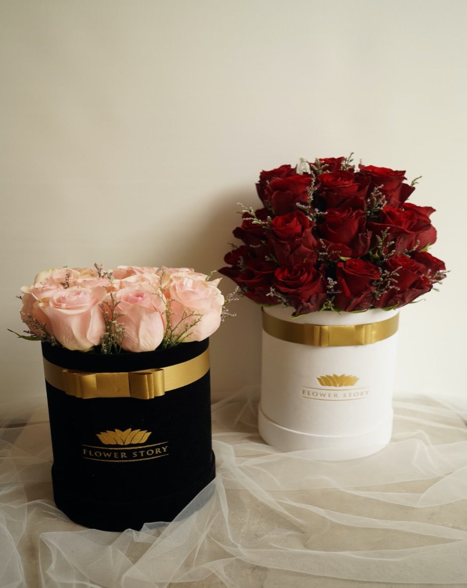 Aria – Flower Story PH