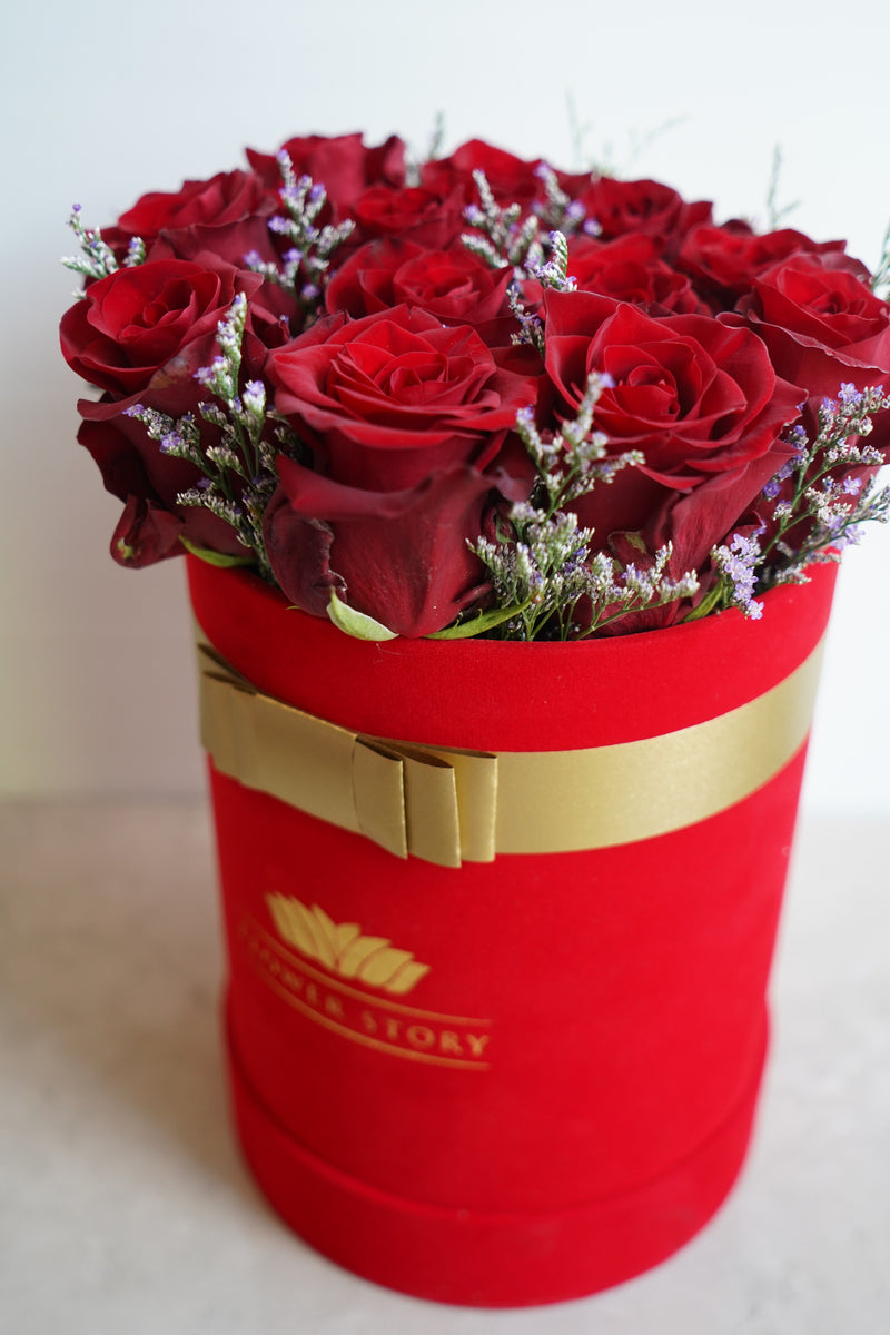 Aria – Flower Story PH