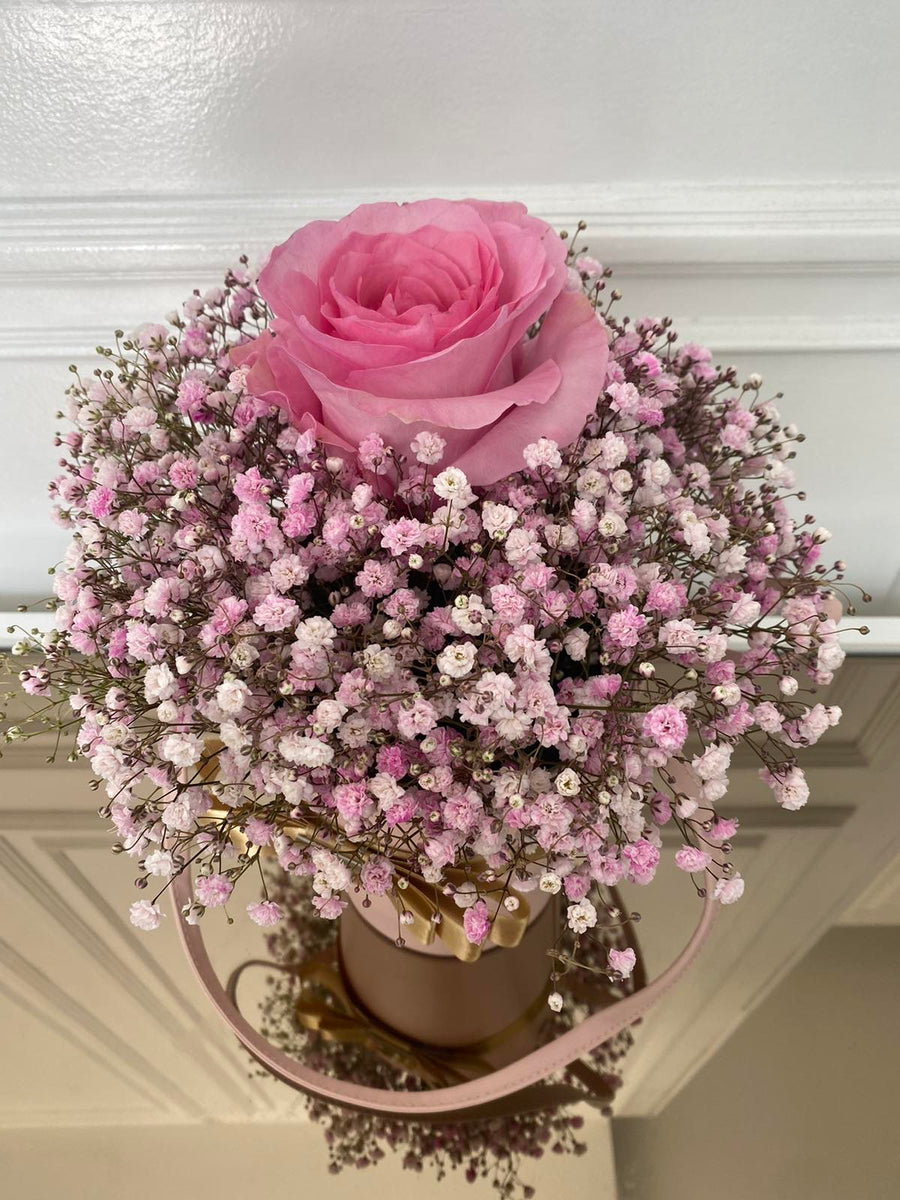 Queenie – Flower Story PH