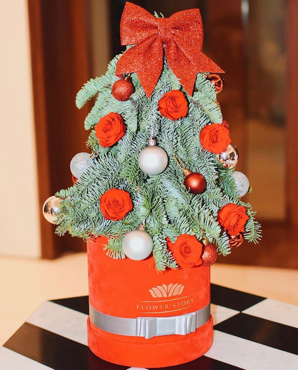 Fresh Pine Tree 1 – Flower Story PH