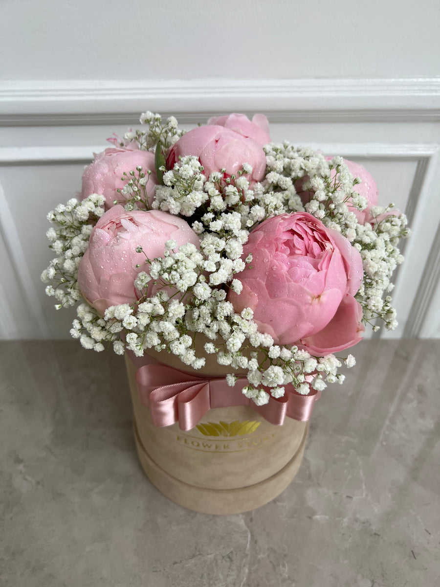 Alexa – Flower Story PH