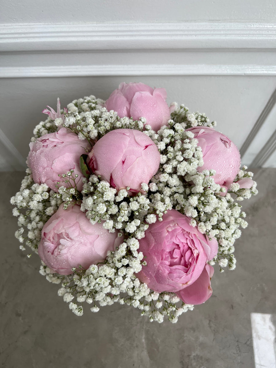 Alexa – Flower Story PH